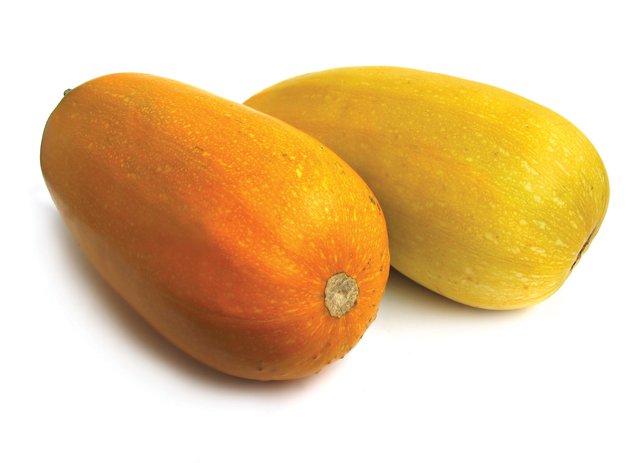 Just One: Squash - Forsyth News