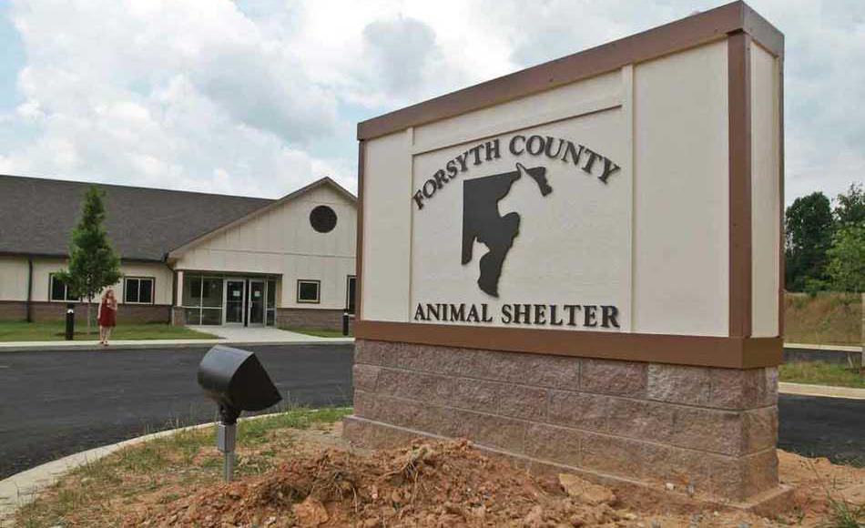Adoptions up, intakes down at Forsyths new animal shelter - Forsyth News