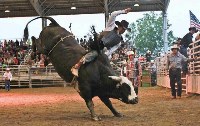 Fun around Forsyth: Where to go to the rodeo, see fireworks, and listen ...