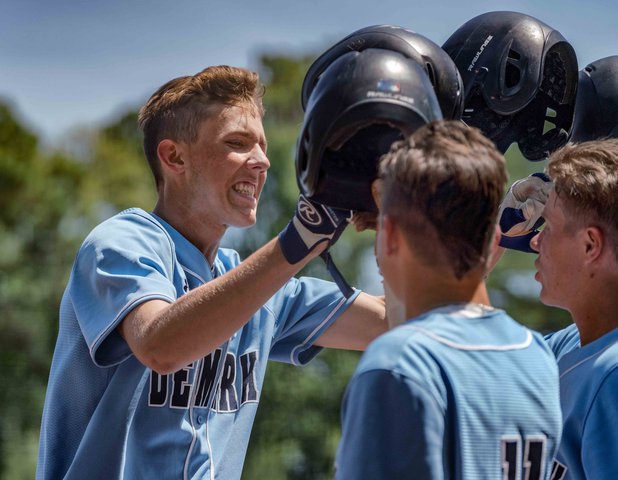 Baseball: Denmark takes two from St. Pius X to reach state ...