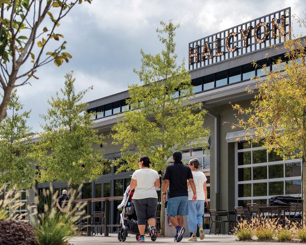 How Halcyon is getting back in business - Forsyth News