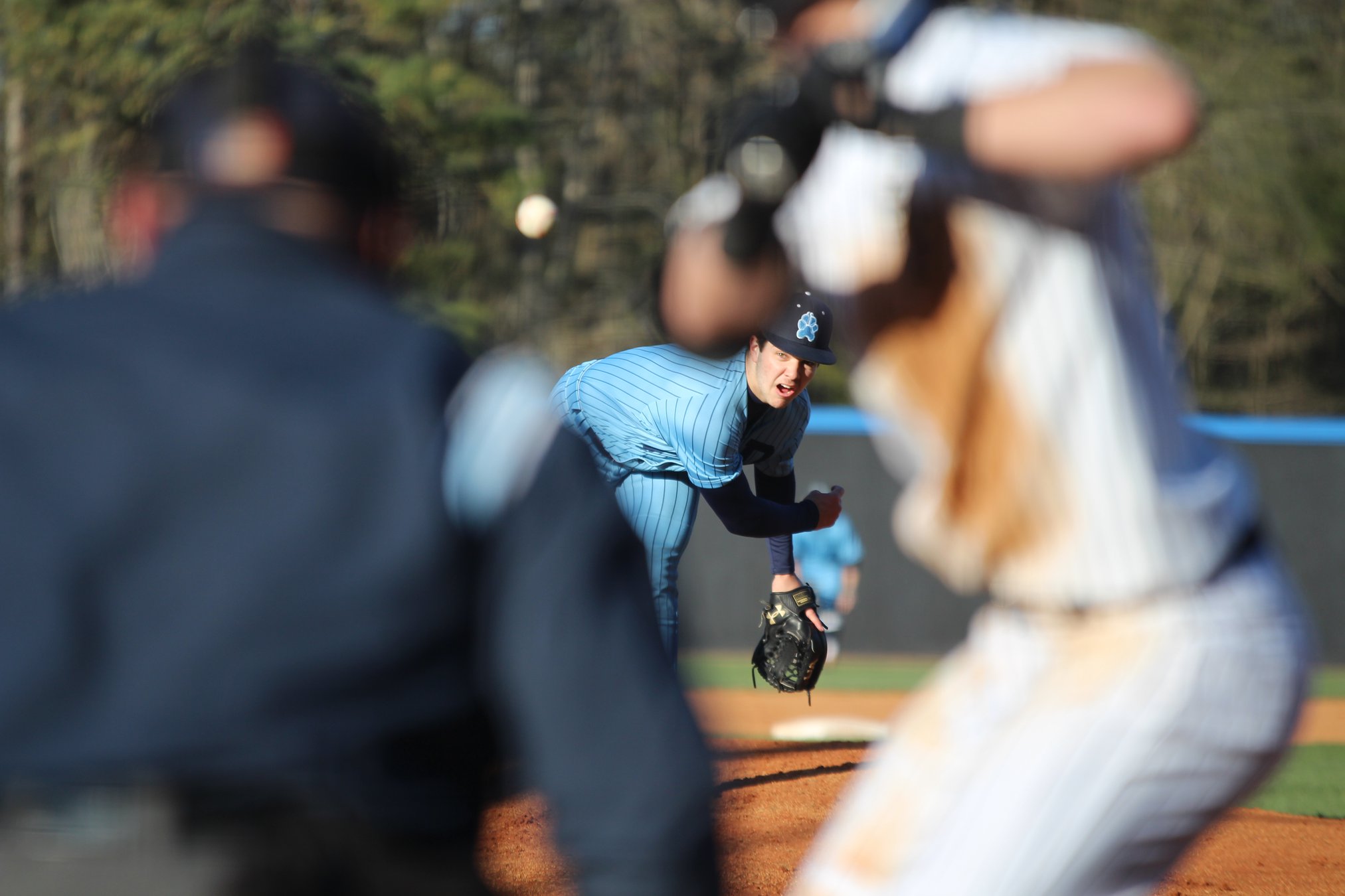 Baseball: Denmark takes series despite South's late-inning surge ...