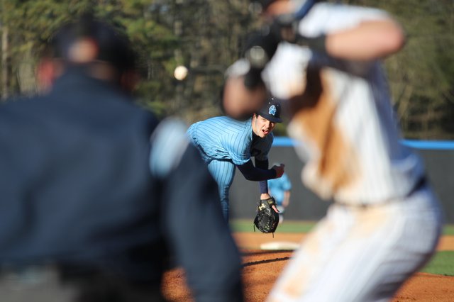 Baseball: Denmark takes series despite South's late-inning surge ...