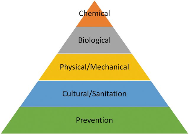 Extension: Easy tips for preventing pests this spring - Forsyth News