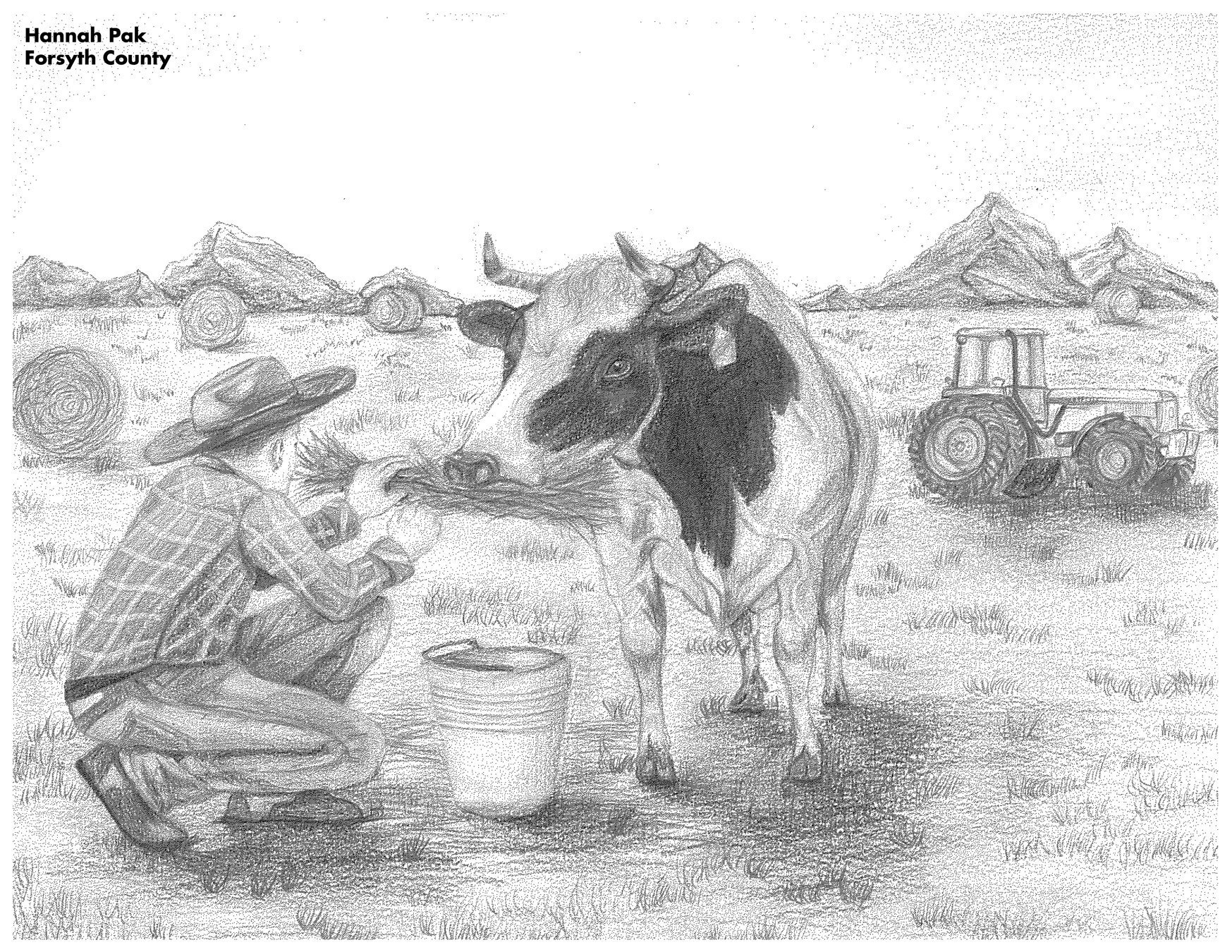 Denmark student wins district award in Georgia Farm Bureau art contest ...