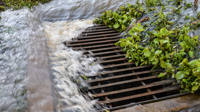 Extension: How to protect water quality - Forsyth News