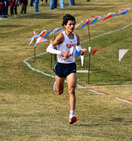 Cross country: East Forsyth's Alex Arrambide loses shoe, finishes 2nd ...