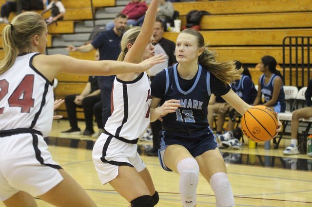 Basketball: Coaches announce Region 6-7A teams - Forsyth News