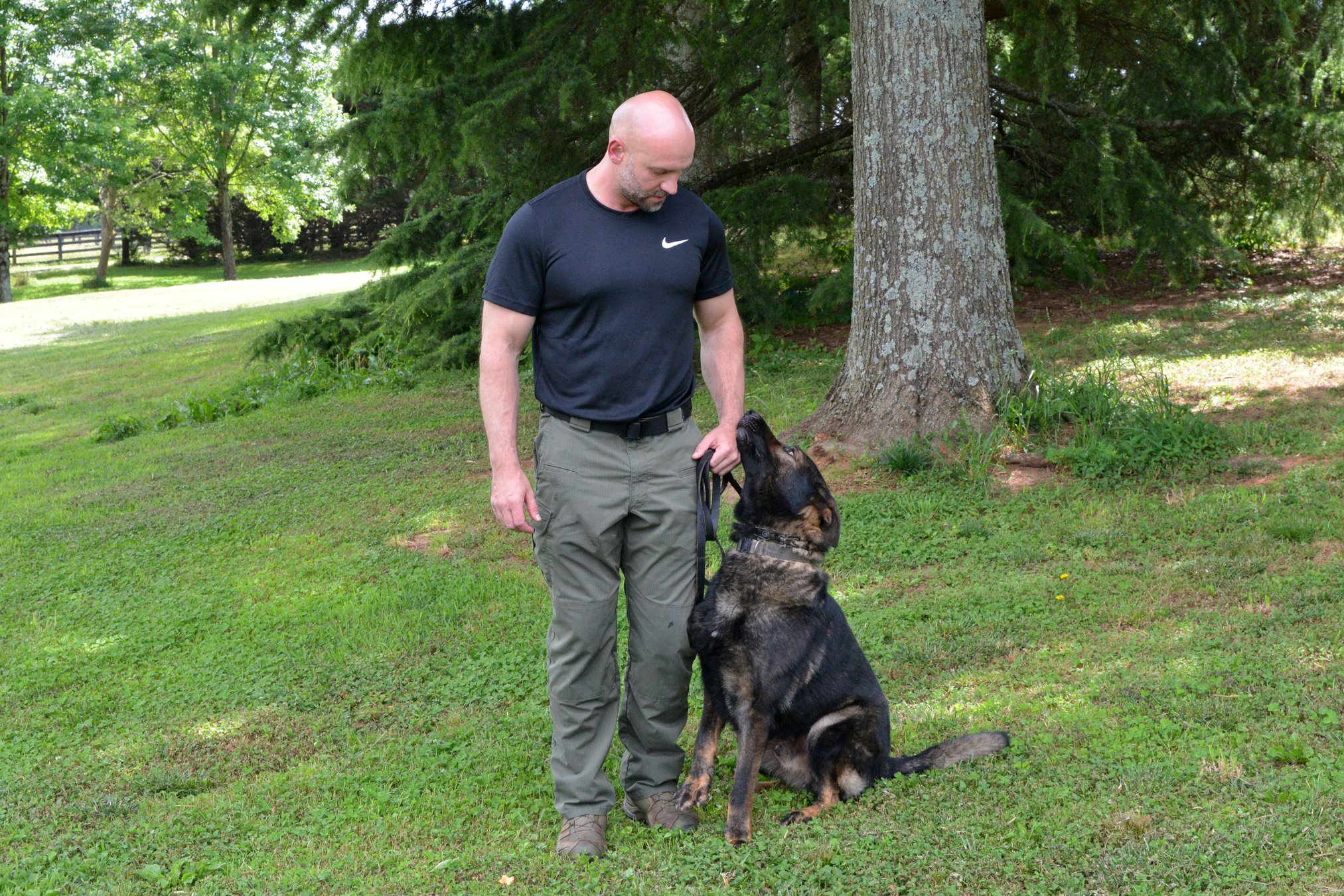 Why this Forsyth County resident is training dogs to sniff out guns ...