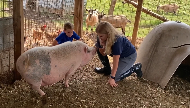 This Forsyth County principal pulls wacky stunts to raise money for her ...