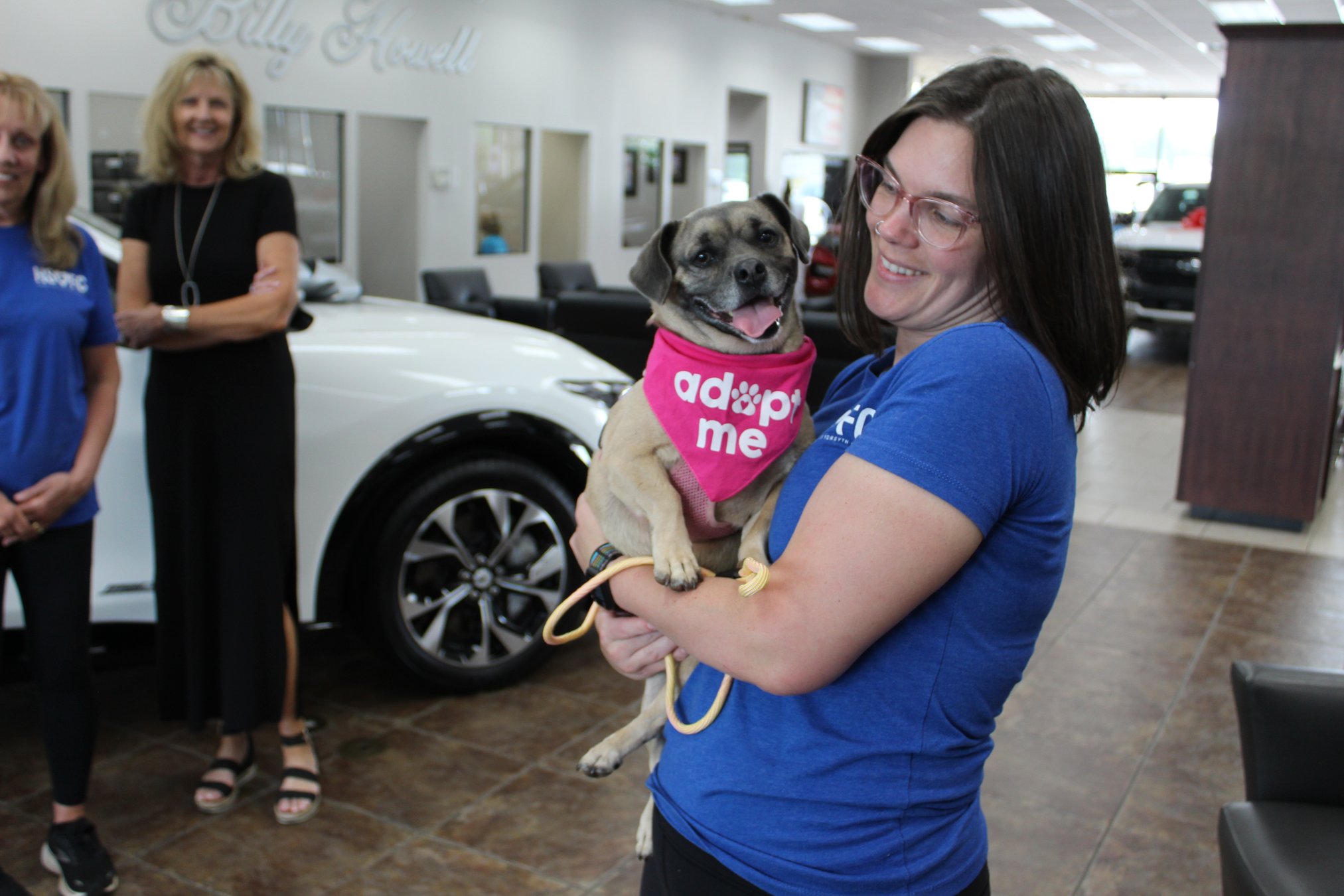 ‘We just want the dogs all to be adopted by great homes,’ Local ...