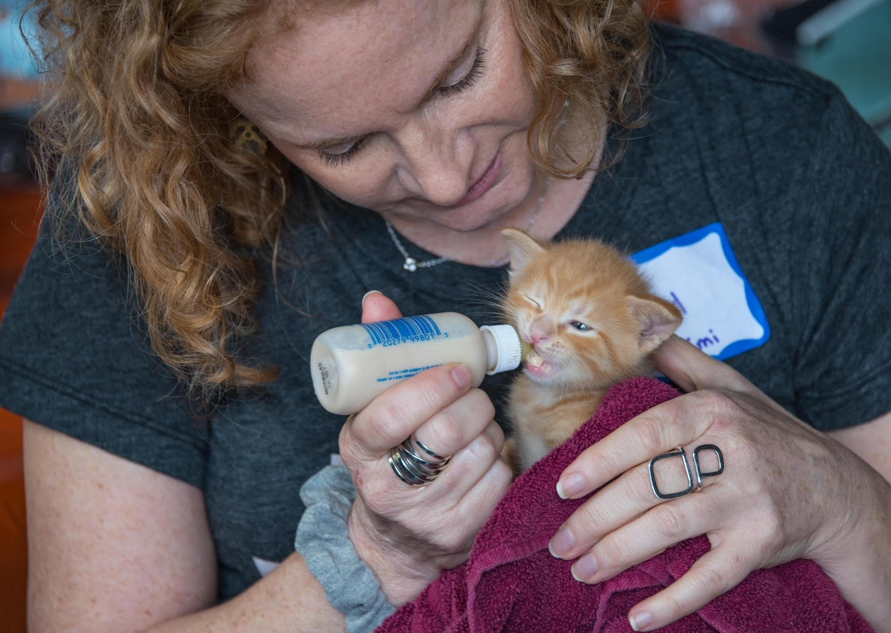 This animal rescue group has saved thousands of animals in Forsyth ...