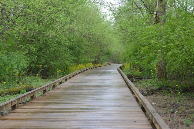 When a closed portion of the Big Creek Greenway will reopen - Forsyth News