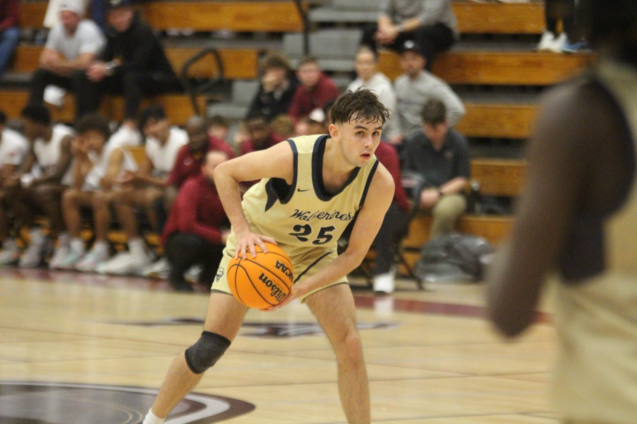 Basketball: Here's the GHSA state tournament schedule for Forsyth ...