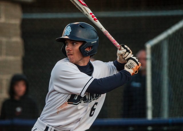 Baseball: Danes register key series win - Forsyth News