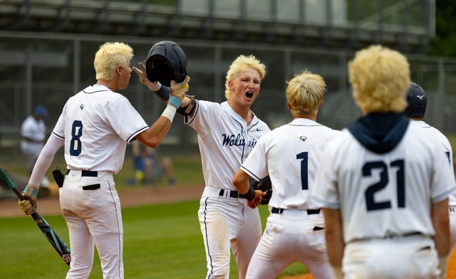 Baseball: Here's the GHSA state playoff Sweet 16 schedule for Forsyth ...