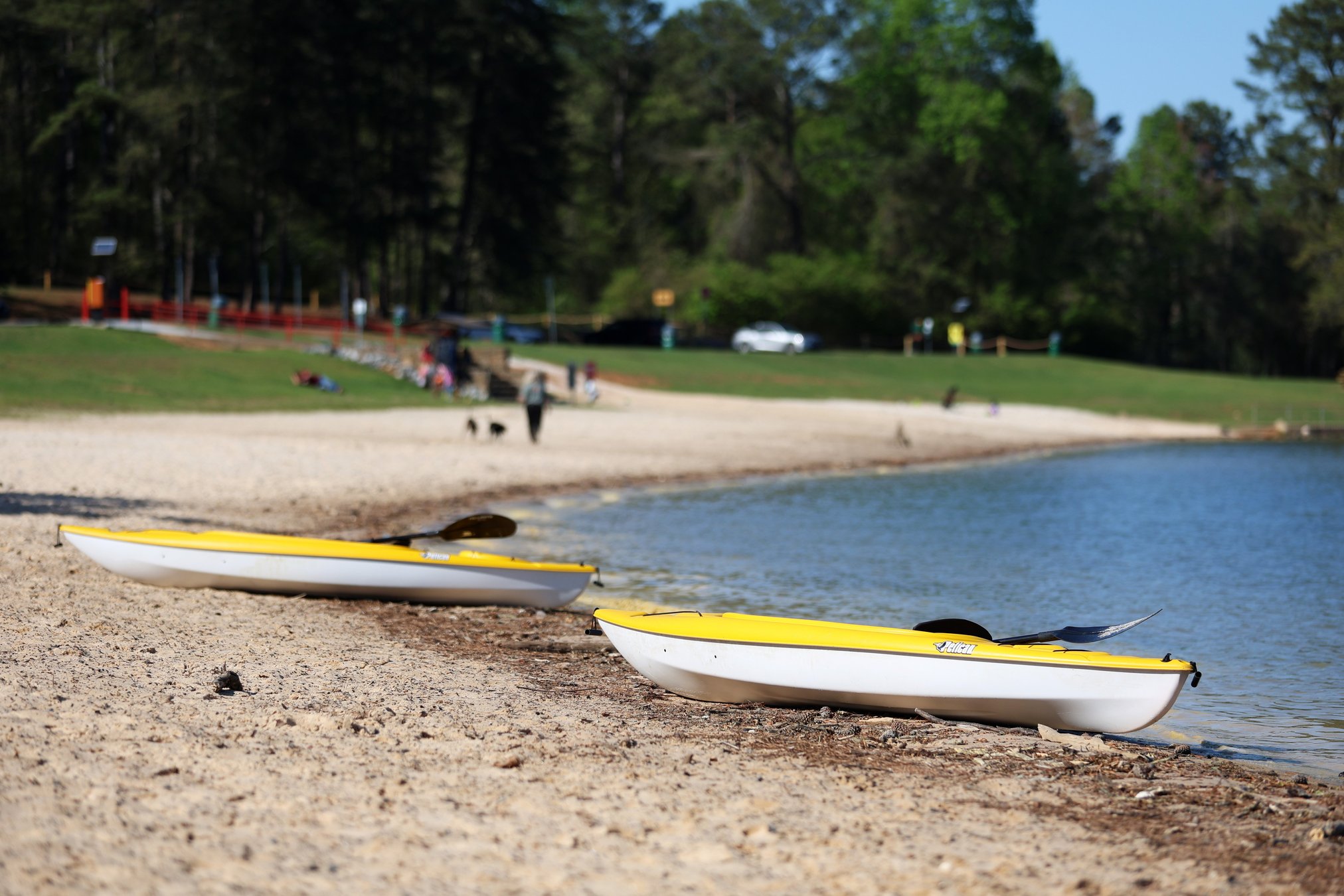 Sun, Sand and Shoreline: 5 Lake Lanier beaches worth a summer visit ...