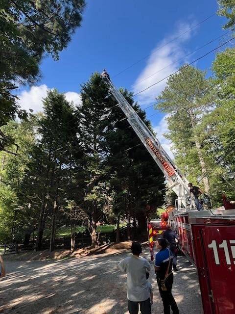 Firefighters rescue ‘adventurous’ 6-year-old girl from 60-foot tree ...