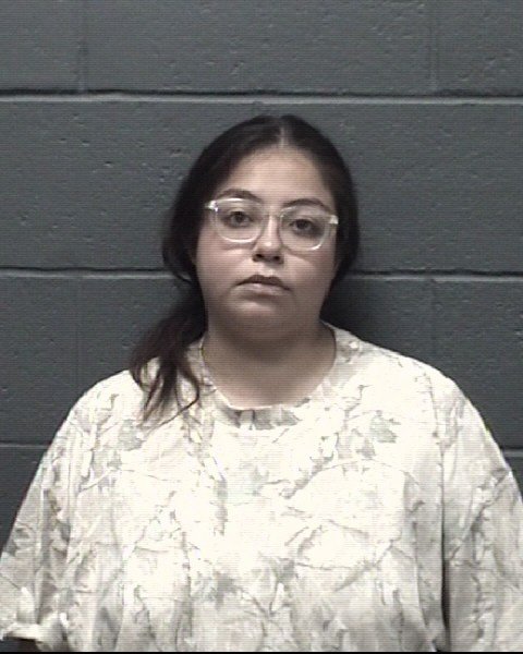UPDATE: New details released about Forsyth County woman arrested on ...