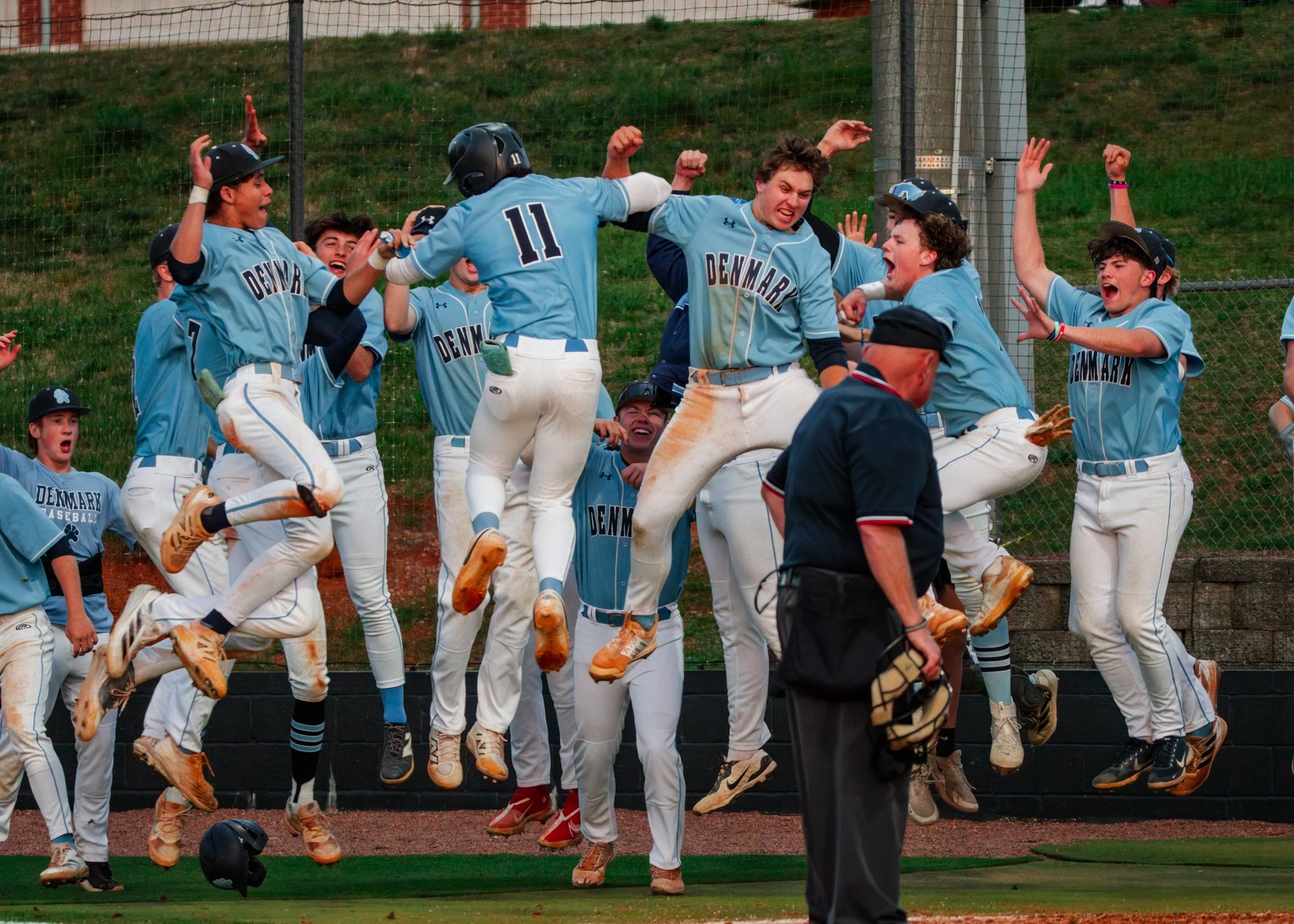 Baseball: Denmark lands preseason top-10 ranking; other local teams ...