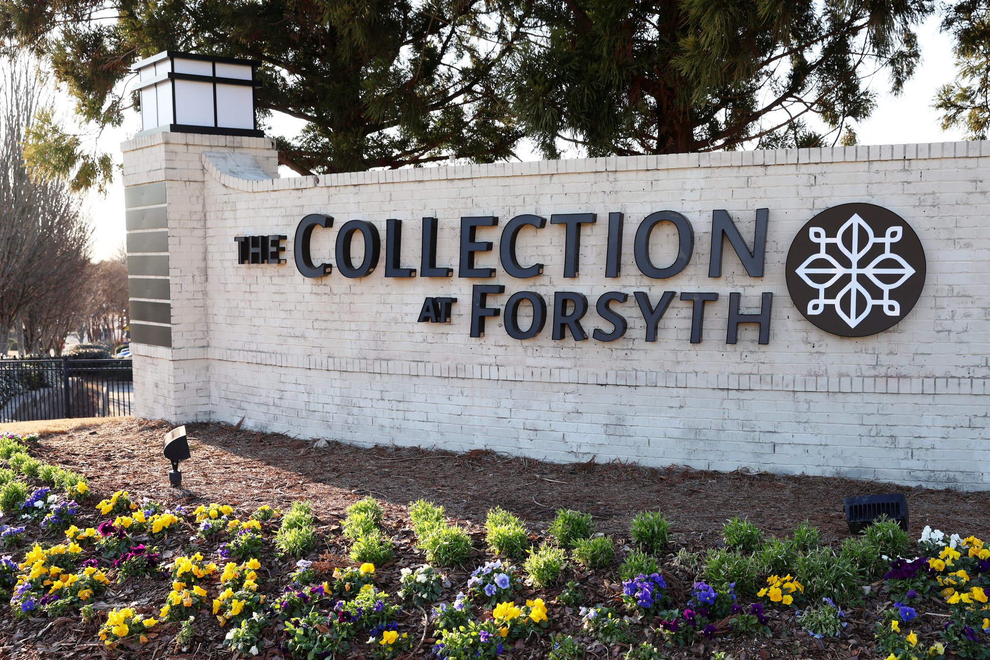 What new businesses will be opening at The Collection at Forsyth in ...